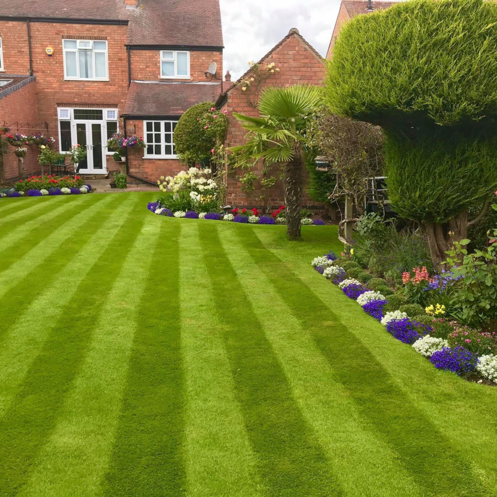 Lawn lawn store